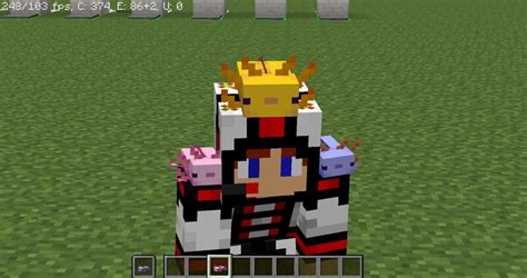 Pumpkins Minecraft Texture Pack