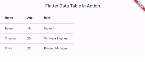 Mastering Data Organization With Flutter Table Class