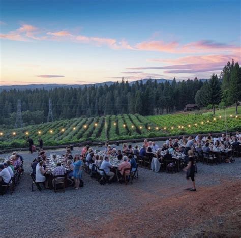 Gather And Dine Apple Hill Growers Annual Farm To Fork Dinner Returns