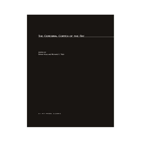 The Cerebral Cortex Of The Rat