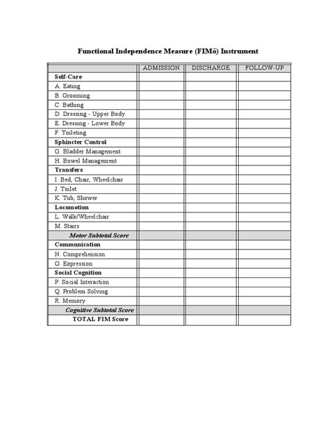 Functional Independence Measure112 Pdf