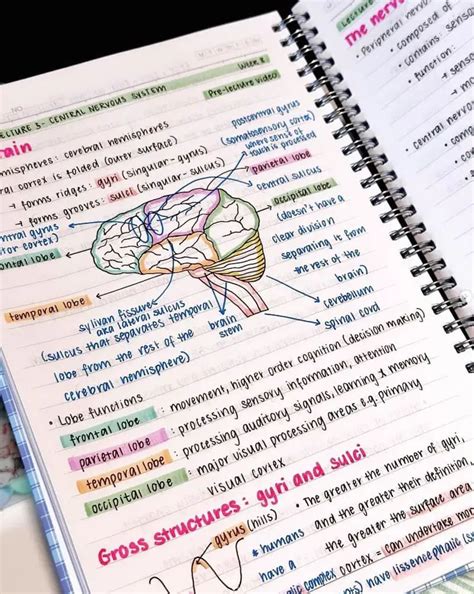 Med Term Notes Aesthetic Artofit