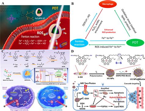 Polymers As Nanocarriers For Synergistic Cancer Therapy A Schematic