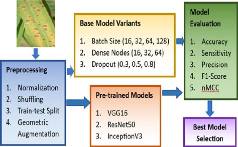 Figure 1 From Philippine Rice Disease Classification Using Deep Learning Semantic Scholar