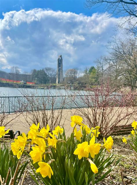 🏆youre So Cool Naperville Downtown Naperville Facebook