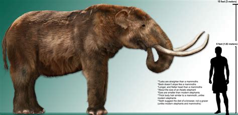 Dinosaurs That Lived In Michigan And Where To See Fossils Today A Z