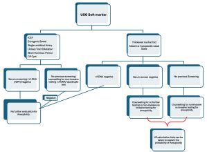 What Do Soft Markers Mean In Antenatal Ultrasound Fetal Cardiac Care