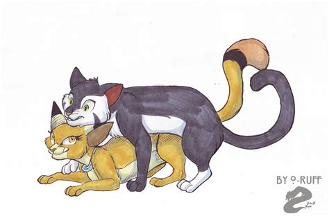 Rule 34 2016 Ambiguous Penetration Black Body Black Fur Domestic Cat