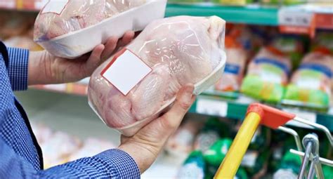 Senasa Aprobó Nuevos Requisitos Para Ingreso De Carne De Aves De