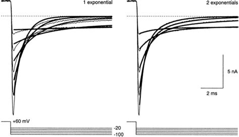 Exponential Fits To Tail Currents Records Are From Fig 1 B On An