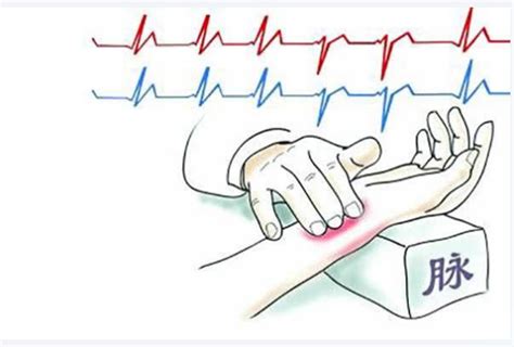 Whats The Difference Between Pit And Csl Test Method
