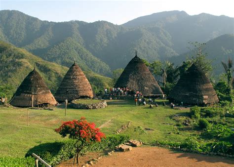 Preservation Of The Mbaru Niang By Rumah Asuh