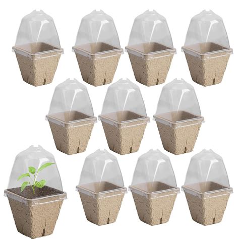 Vegetable Rack Biodegradable Nursery Pots With Humidity Dome 3 1 Inch