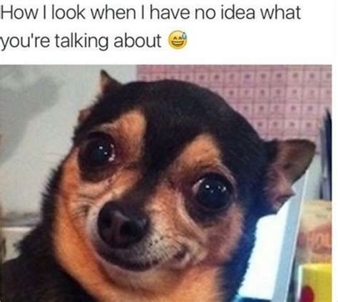 Funny Pictures Memes No Words