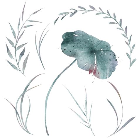 Premium Vector Vector Illustration Lotus Leaf Collection