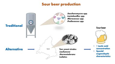 Yeast Fermentation Beer