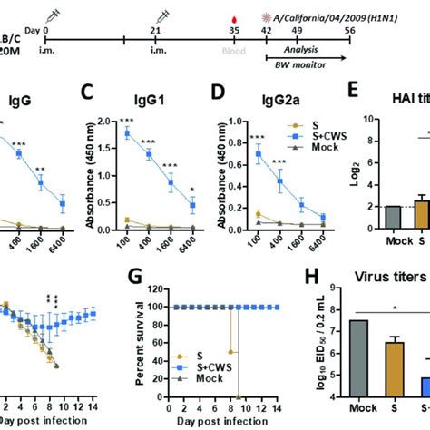 Bcg Cws Stimulate Antigen Presenting Cells To Secrete Cytokines Via