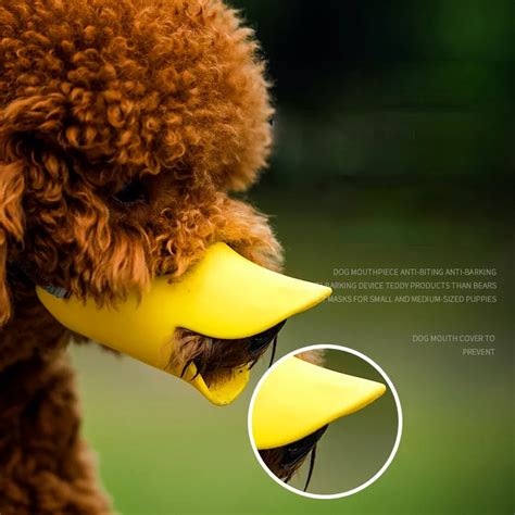 Duckbill Dog Muzzle At Leo Coughlan Blog