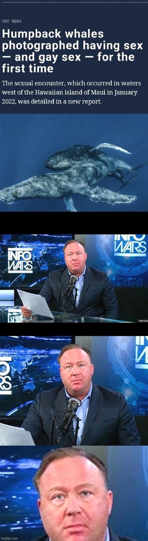 The Best Whales Memes Memedroid