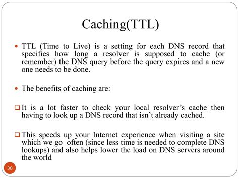 DNS Domain Name System PDF Web Hosting Internet