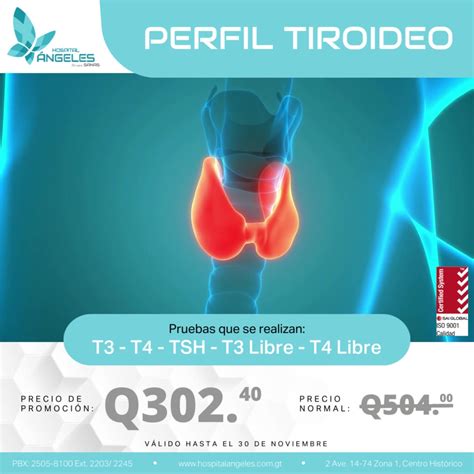 Las Pruebas De Función Tiroidea Verifican Cómo Está Funcionando La