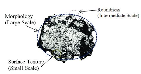 Particle Shape Scale Factor Described By Mitchell Soga 2005