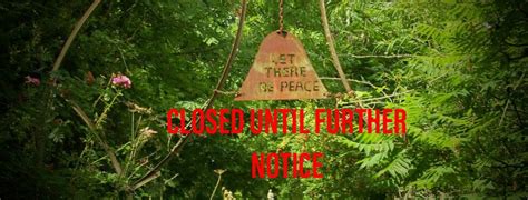 Churches Of Martock Kingsbury Episcopi Ash And Muchelney Somerset