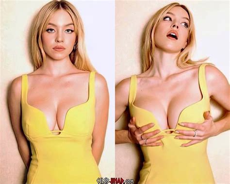 【動画あり】tvで人気女優24の乳首が丸出しになる放送事故ww ポッカキットポッカキット