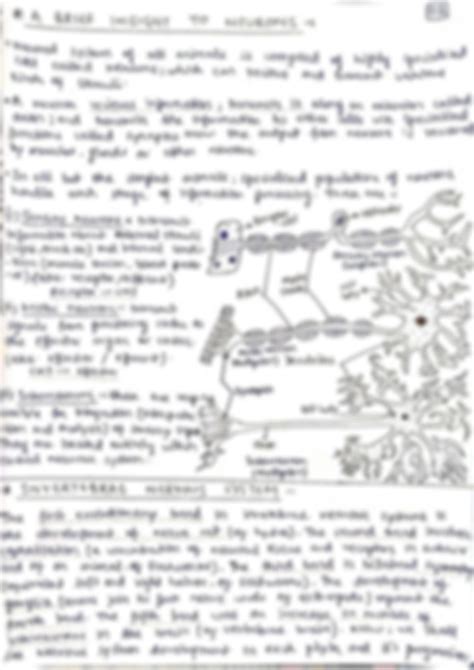 Solution Evolution Of Nervous System Studypool