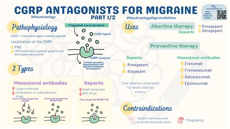 Cgrp Antagonists For Migraine — Neudrawlogy Simplifying Neurology