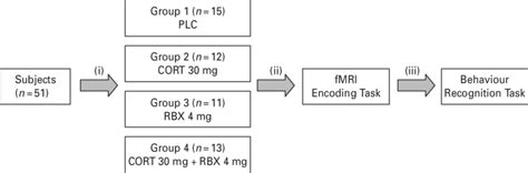 The Randomized Double Blind Placebo Controlled Parallel Group Design Download Scientific