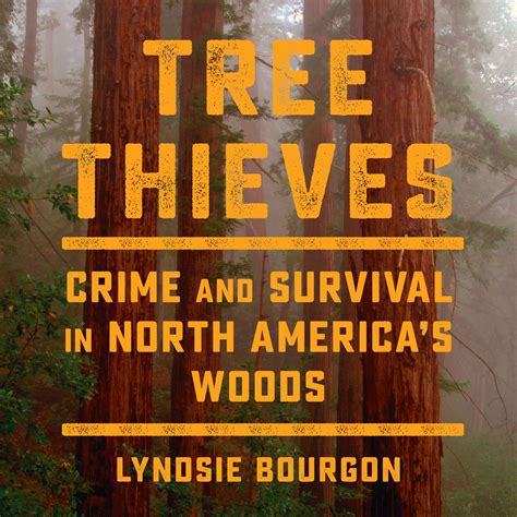 Tree Thieves By Lyndsie Bourgon Hachette Book Group