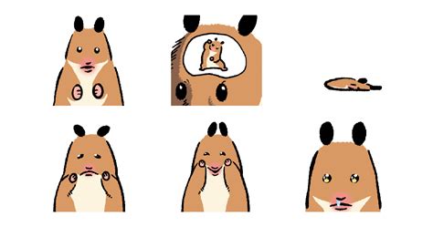 햄모지는 햄스터 2