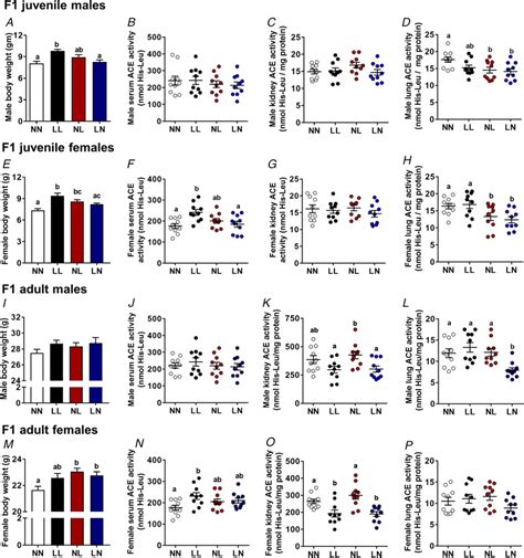 Second Generation Offspring Phenotype Impact Of Paternal Diet On