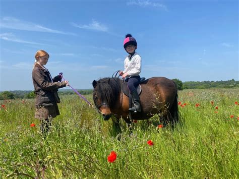 Shetland Pony Riding Lesson Shetland Pony Club Surrey