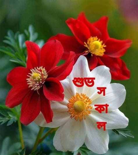 Deblina Banerjee Posted On Linkedin