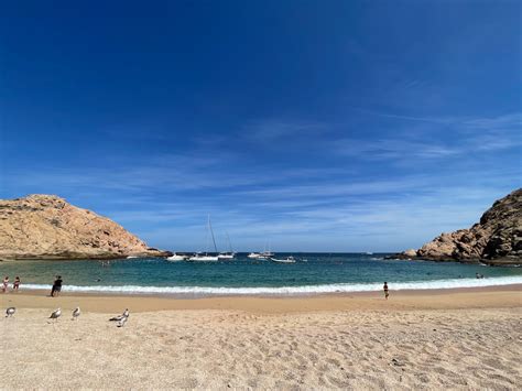 16 Best Beaches In Cabo San Lucas · Eternal Expat