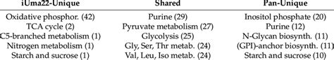 Top Five Metabolic Pathways With The Highest Number Of Missing Genes In