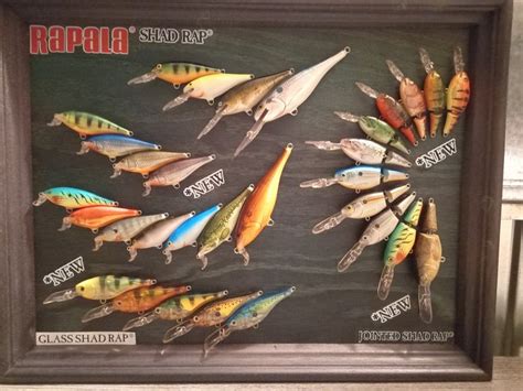 Cadre Rapala 1 Bois Catawiki