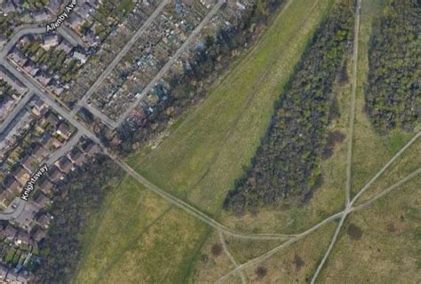 New Bng Template And Guidance Merseyside Environmental Advisory Service