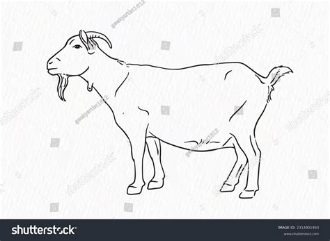Goat Outline Over 12487 Royalty Free Licensable Stock Vectors