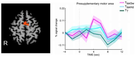 Execution Dependent Cognitive Control For Rule Switching Download