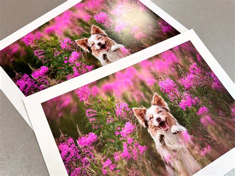 Gloss Vs Matte Vs Satin Photo Paper Permajet Blog