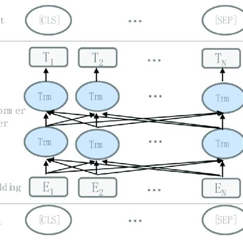 Structure Of Bert Model Download Scientific Diagram