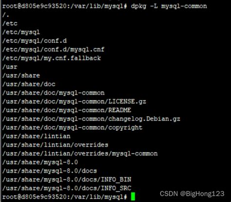mysql镜像：版本信息、apt get与dpkg命令详解 csdn博客