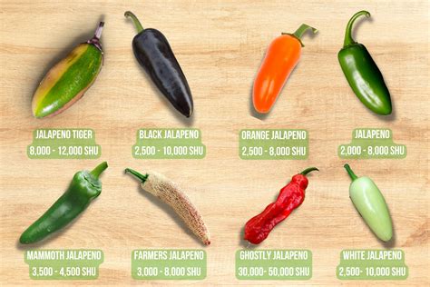 Jalapeno Pepper Varieties