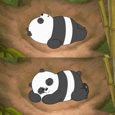 10 Ideas De Osos Escandalos Osos Dibujos De Escandalosos Fondos De