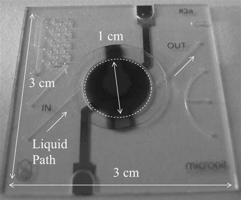 Image Of Microfluidic Glass Chip The Qcm Sits Over The Open Top