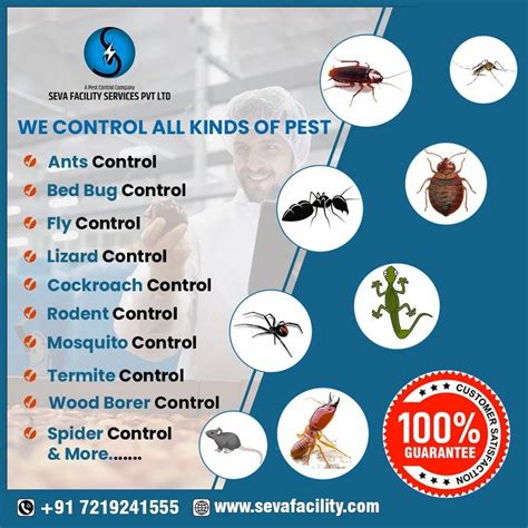 Pest Control Services At ₹ 2000session In Pune Id 2852565697973