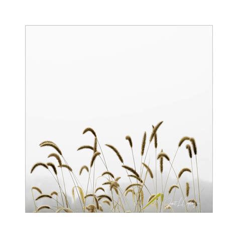 Photographer Janet Capling Is Redefining Minimalism Through Fine Art Landscape Photography